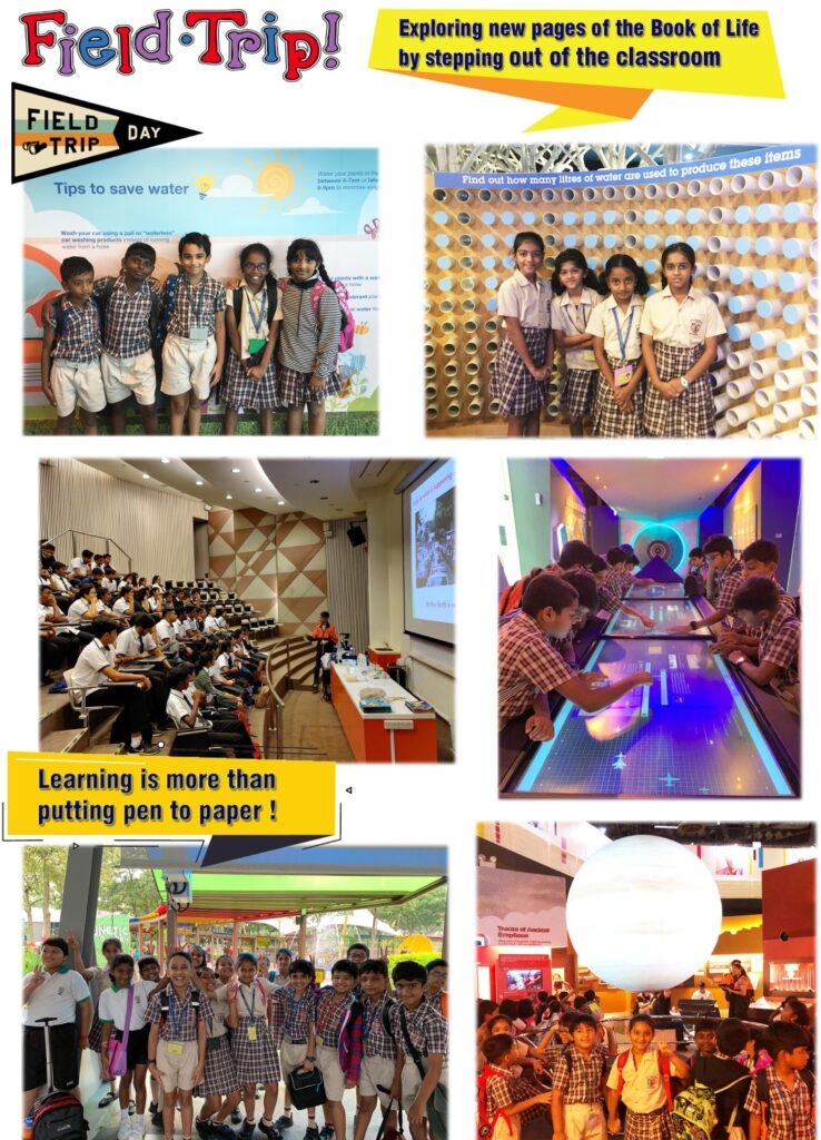 DPS International School