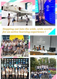 DPS International School